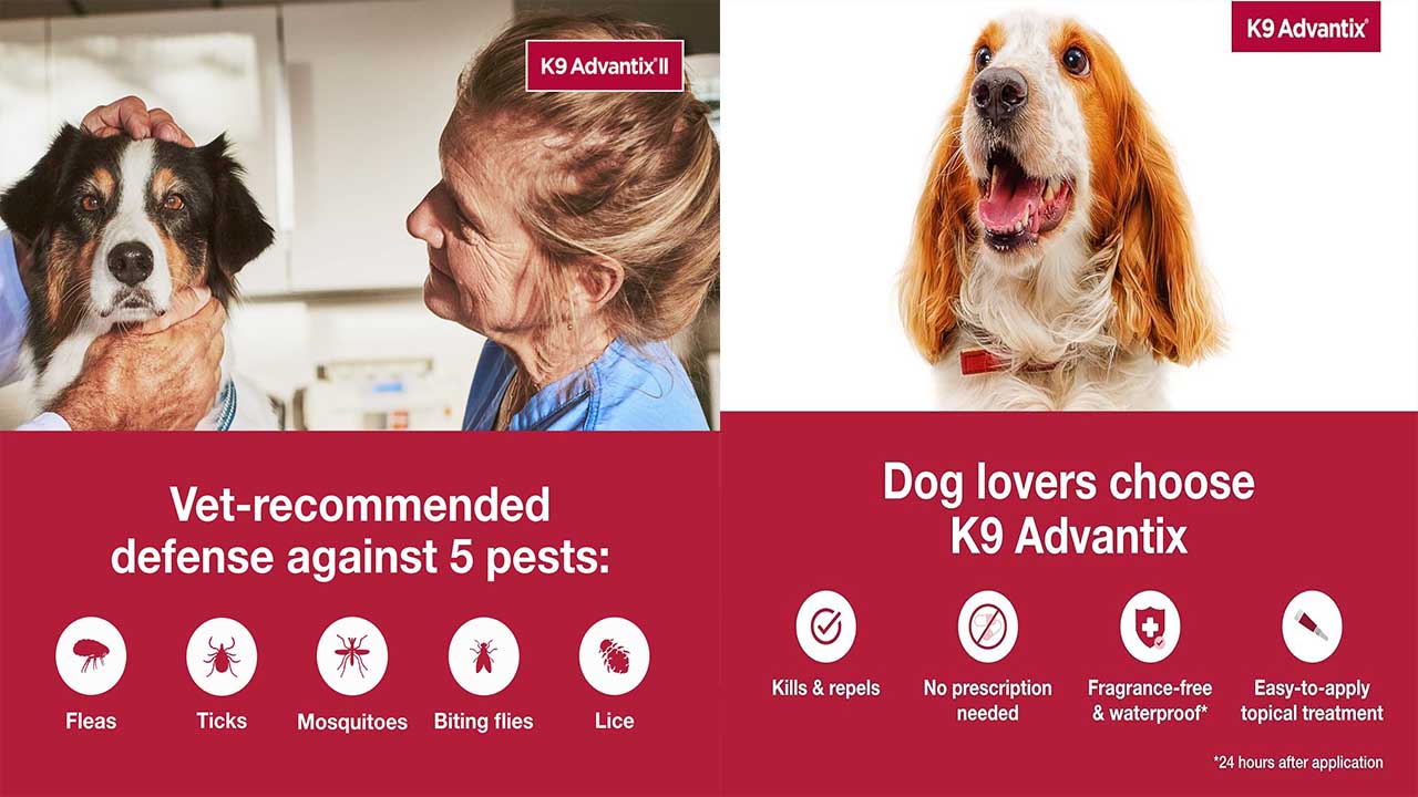 K9 Advantix II | Best Flea & Tick Protection for Dogs